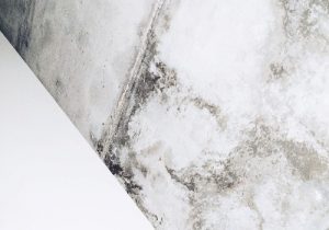 9 Common Building Defects | Building Defect Repairing Contractor